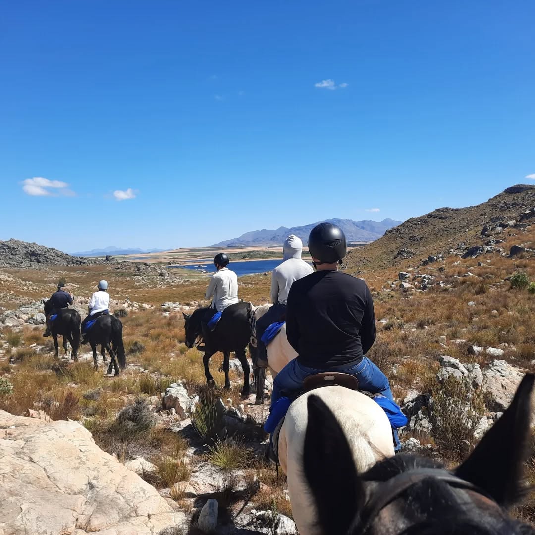 Home | Witzenberg Municipality